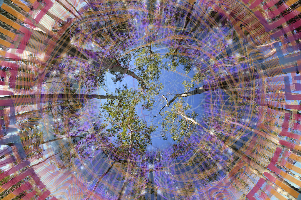 IGLI – FRACTAL VISIONS