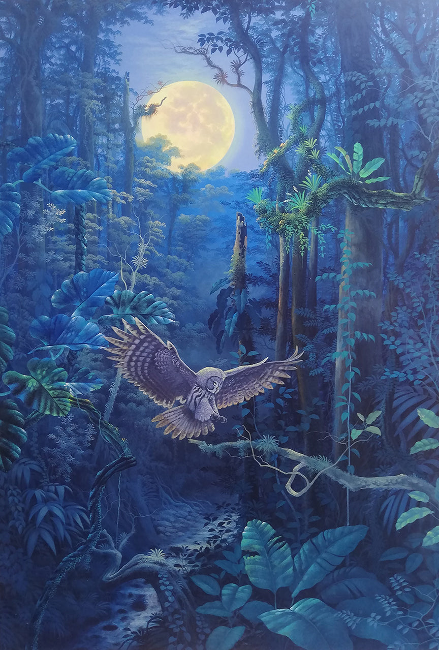 Homepage – FRACTAL VISIONS